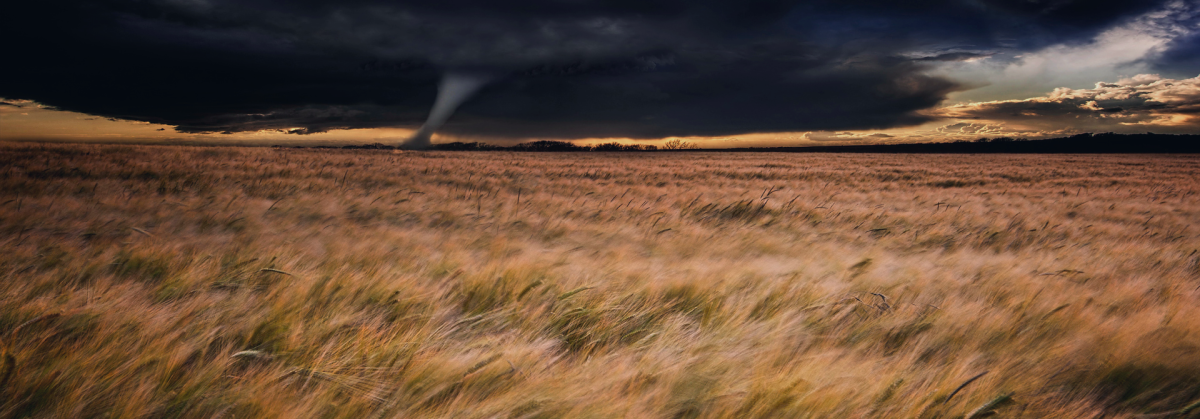 True Sky Federal Credit Union | Where You Truly Belong